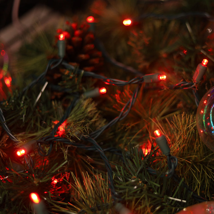 5MM Wide Angle Mini LED String Lights RED String Light UL Certified ...